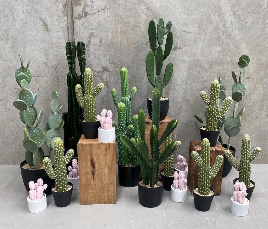 Artificial Cactus Collection - A Day to Remember Event Hire