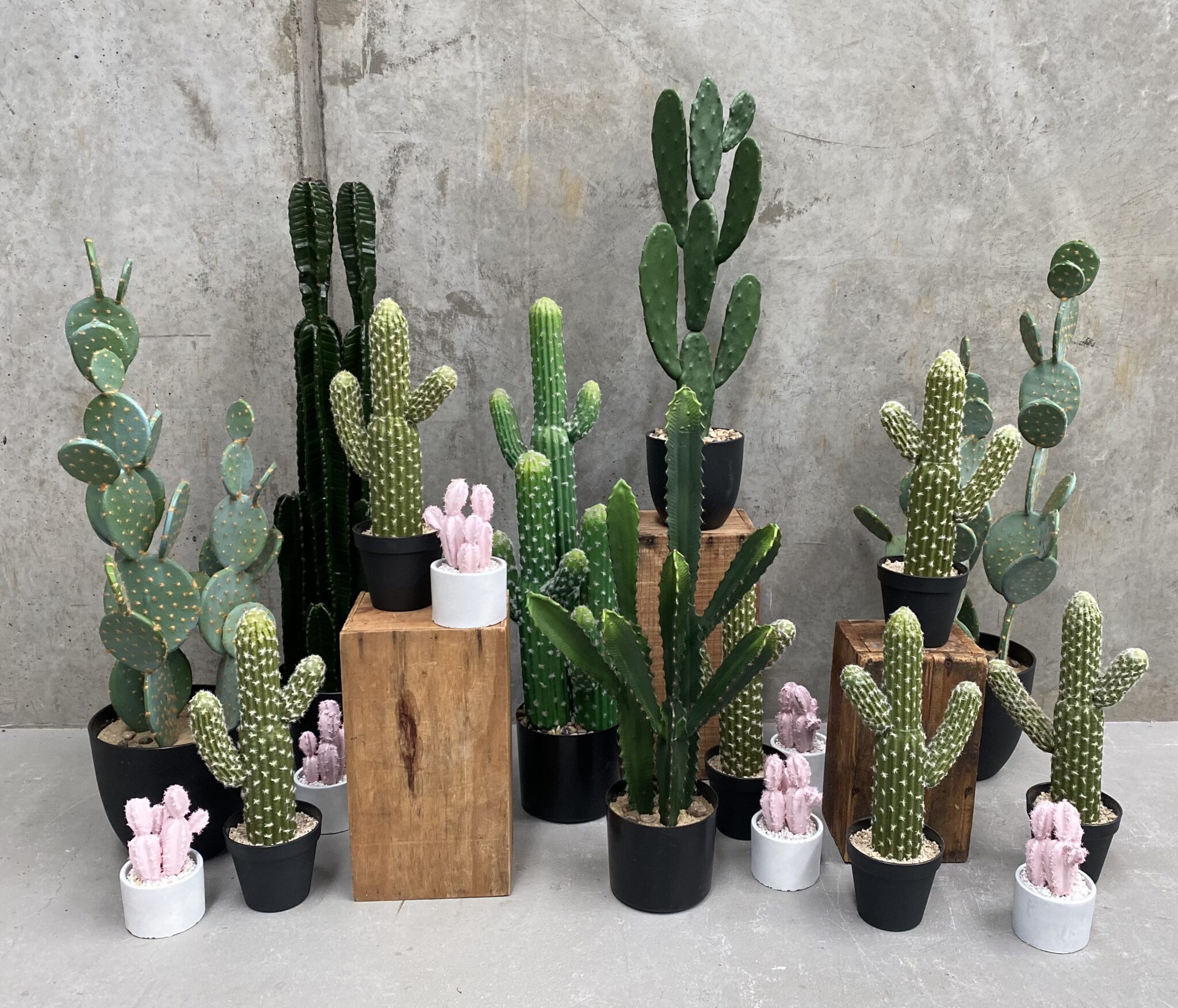Artificial Cactus Collection - A Day to Remember Event Hire